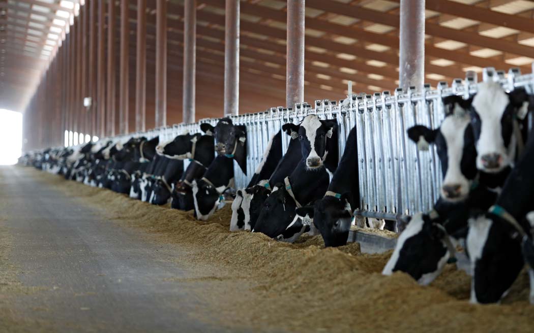 Clean Energy Breaks Ground on Renewable Natural Gas Dairy Digester in ...